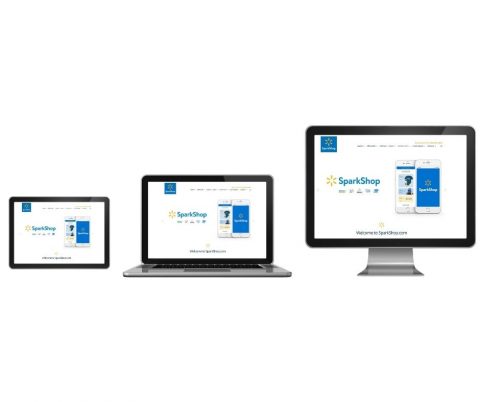 eCommerce Management Services | Prime Software Solutions